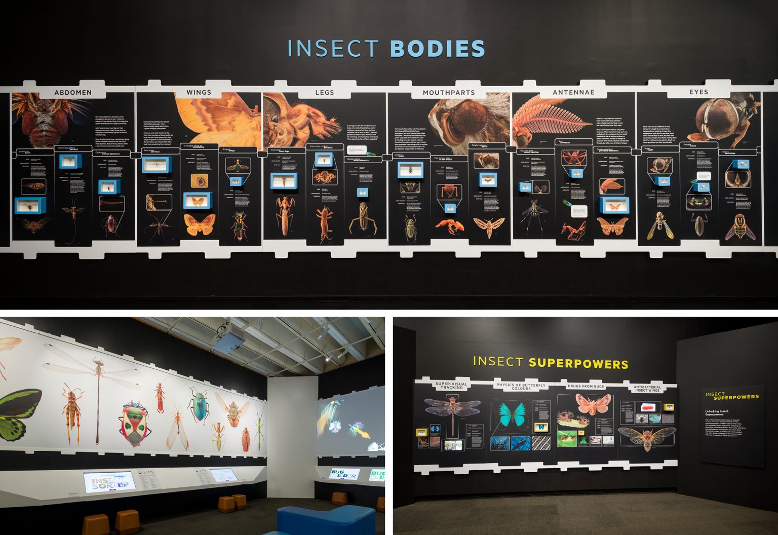 Take a look closer - Goldi