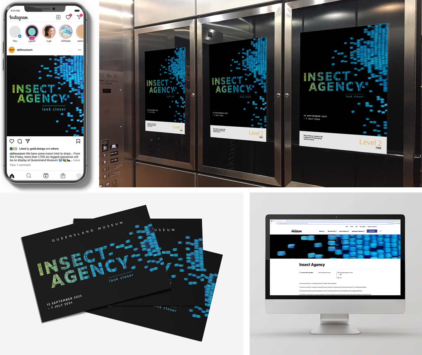 Take a look closer - Goldi