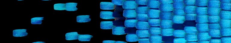 Take a look closer - Goldi